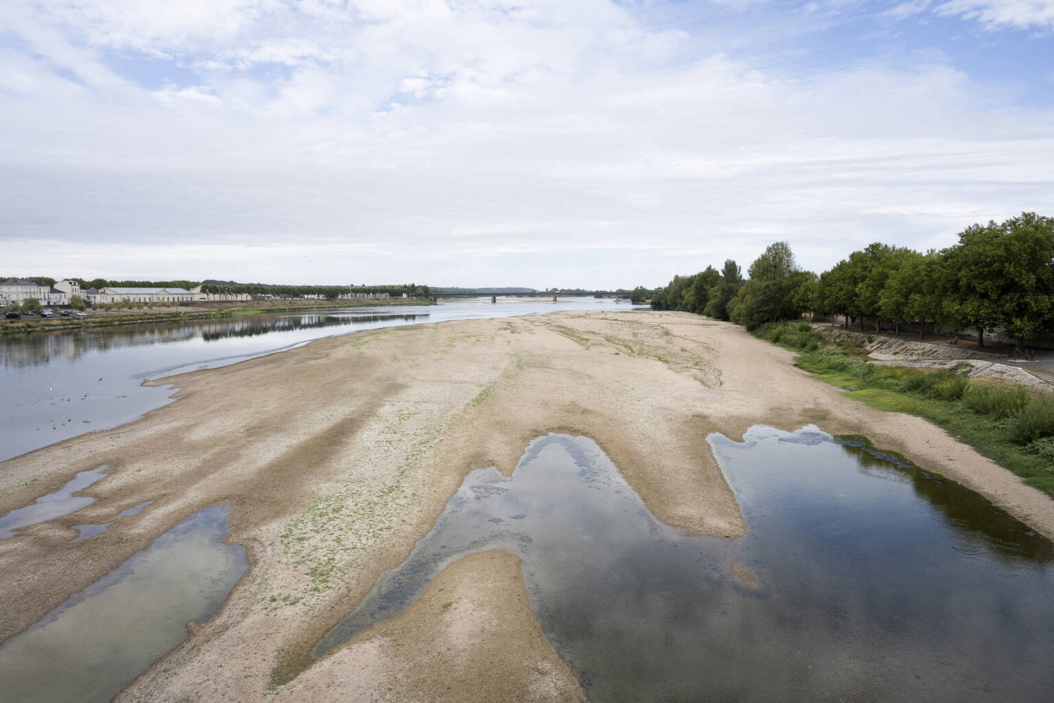Biodiversité et climat : même combat - Réseau Action Climat
