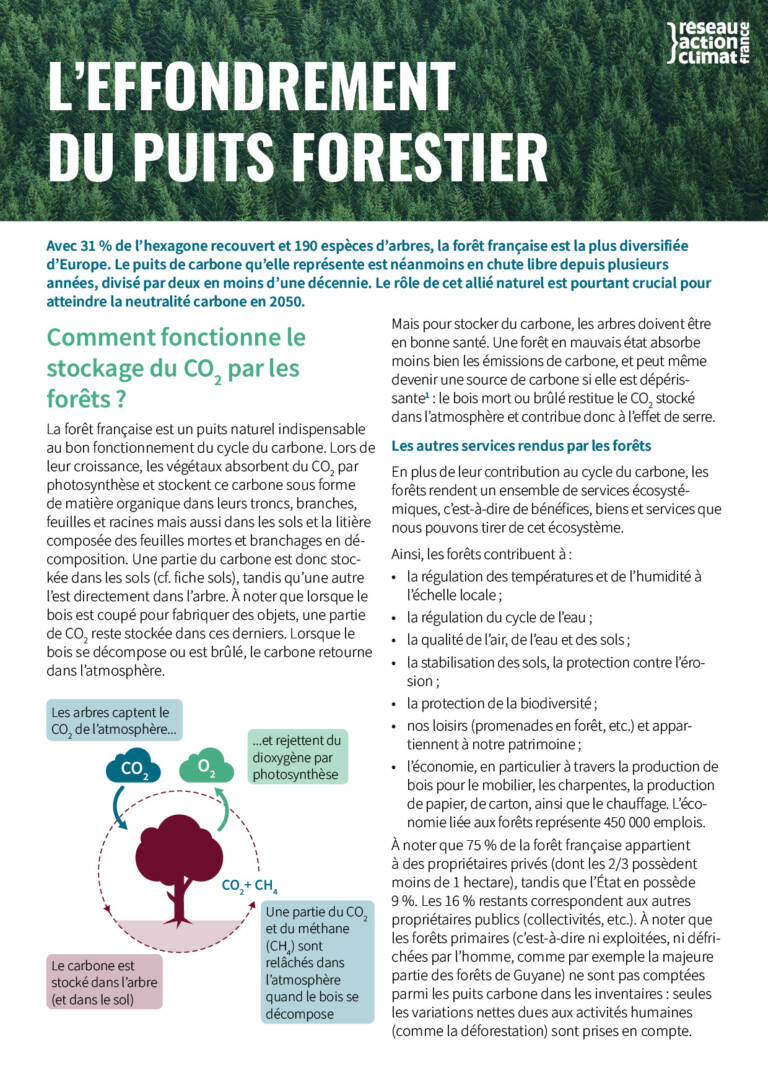 Puits de carbone naturels : état des lieux - Réseau Action Climat