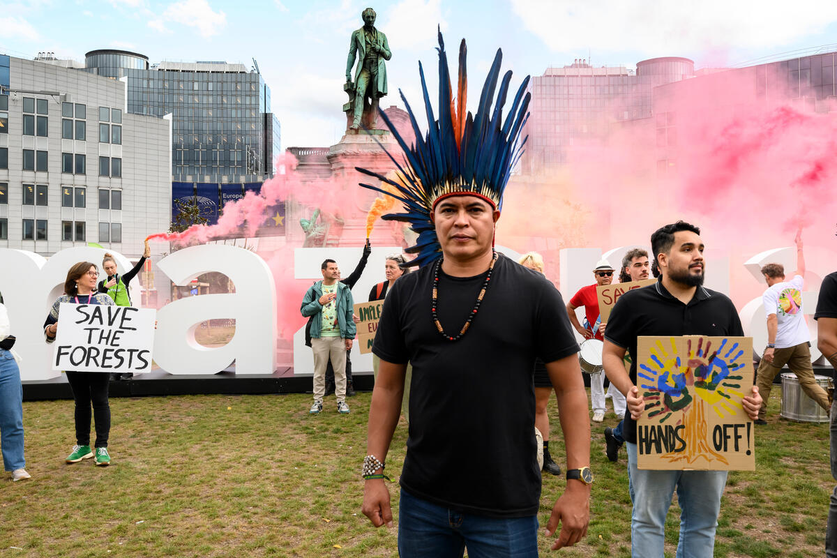 COP30 : les plans climat des Etats sont-ils à la hauteur ? - Réseau ...