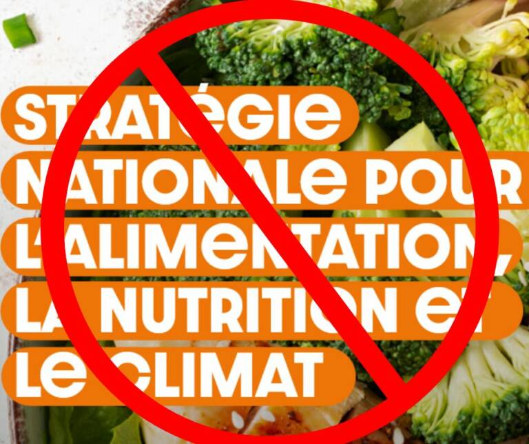 SNANC : Un blocage gouvernemental qui met en péril une transition ...